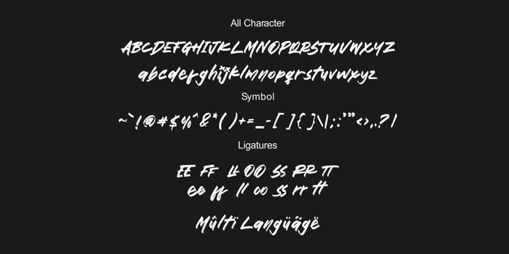 Shooter Font | Webfont & Desktop | MyFonts