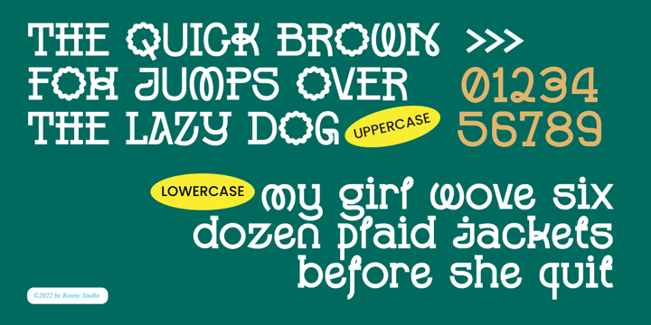 Nokwy Font | Webfont & Desktop | MyFonts