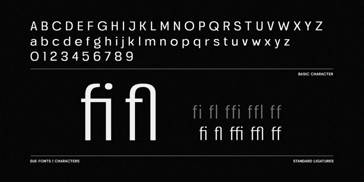 SUE Font | Webfont & Desktop | MyFonts