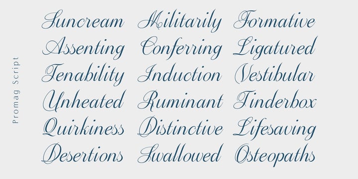 Promag Duo Font | Webfont & Desktop | MyFonts