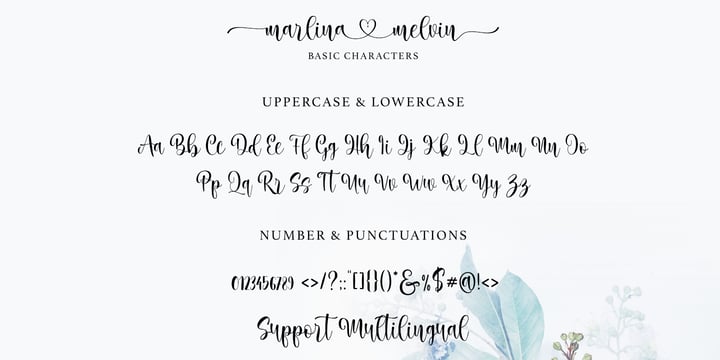 Marlina Melvin Font | Webfont & Desktop | MyFonts