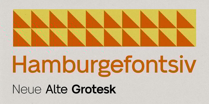 Neue Alte Grotesk Font | Webfont & Desktop | MyFonts
