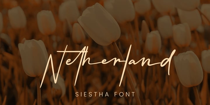 Siestha Font | Webfont & Desktop | MyFonts