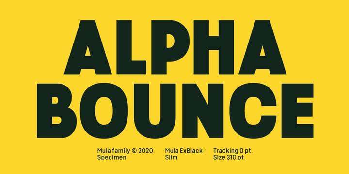 Mula Font | Webfont & Desktop | MyFonts