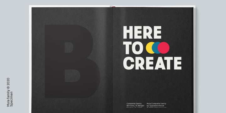 Mula Font | Webfont & Desktop | MyFonts