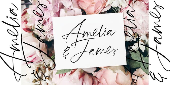 Fast Lane Font | Webfont & Desktop | MyFonts