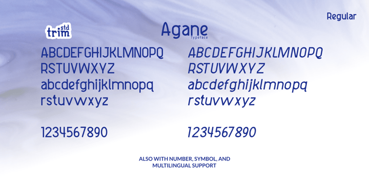 Agane Font | Webfont & Desktop | MyFonts