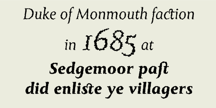 Monkton Aged Font | Webfont & Desktop | MyFonts