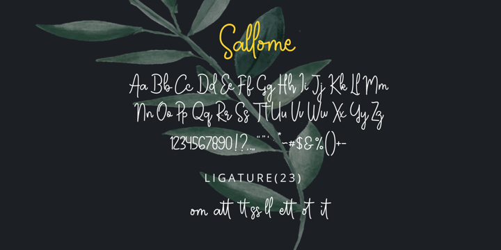 My Sallome Font | Webfont & Desktop | MyFonts