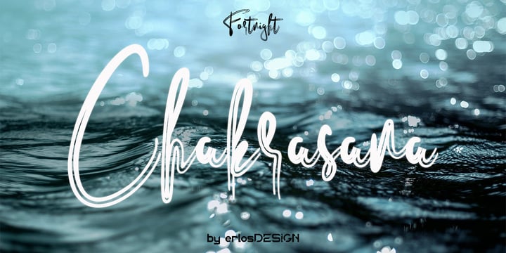 Fortnight Font | Webfont & Desktop | MyFonts