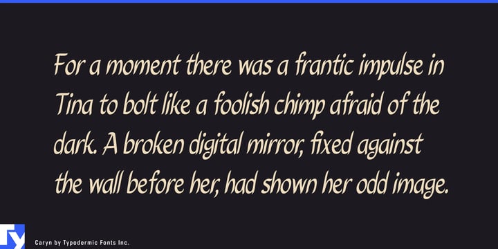 Caryn Font | Webfont & Desktop | MyFonts