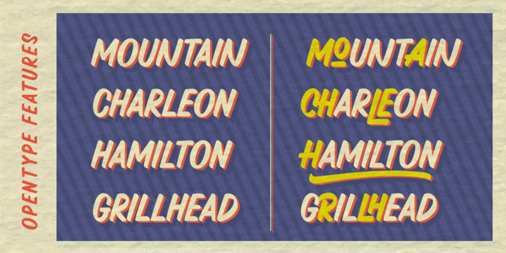 Shinkoya Font | Webfont & Desktop | MyFonts