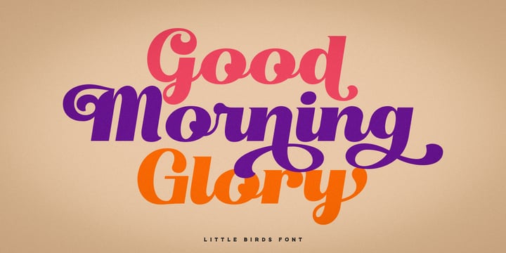 Little Birds Script Font | Webfont & Desktop | MyFonts