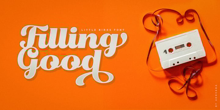Little Birds Script Font | Webfont & Desktop | MyFonts