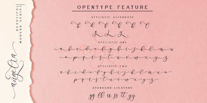 Angelia Font | Webfont & Desktop | MyFonts