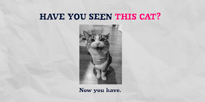 Shrub Font | Webfont & Desktop | MyFonts