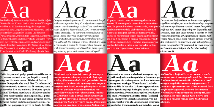 Kalpa Font | Webfont & Desktop | MyFonts