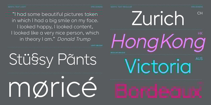 Sentic Font | Webfont & Desktop | MyFonts