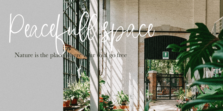 Just Write Font | Webfont & Desktop | MyFonts