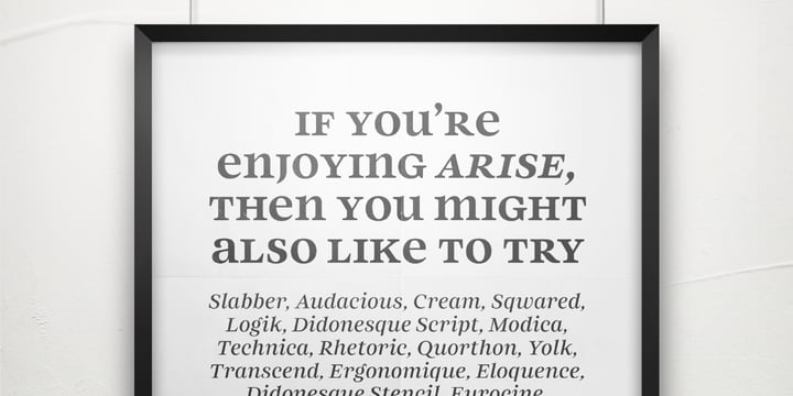 Arise Font | Webfont & Desktop | MyFonts