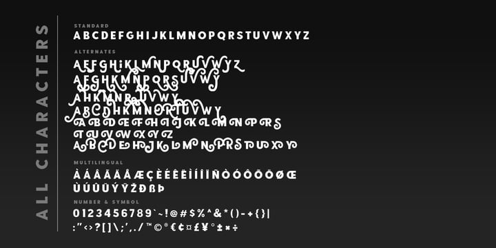 Point Panther Font | Webfont & Desktop | MyFonts