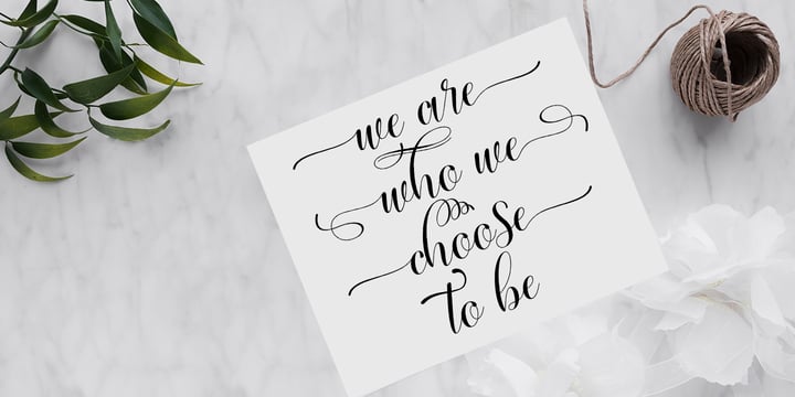 Audacity Script Font | Webfont & Desktop | MyFonts