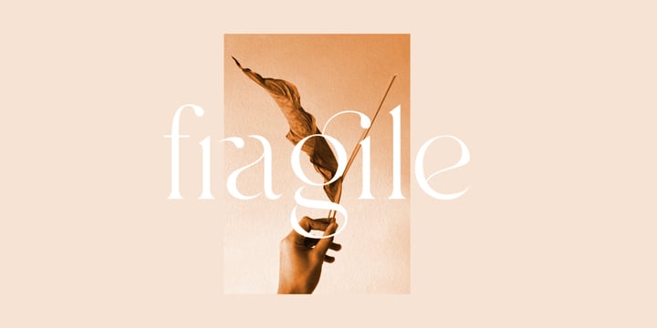 Hello Branch Font | Webfont & Desktop | MyFonts