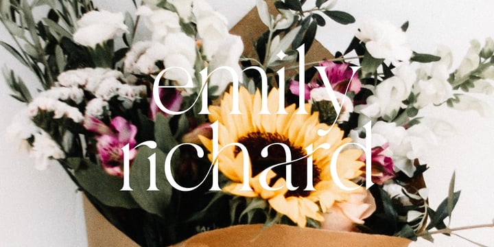 Hello Branch Font | Webfont & Desktop | MyFonts