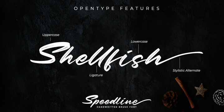 Speedline Font | Webfont & Desktop | MyFonts