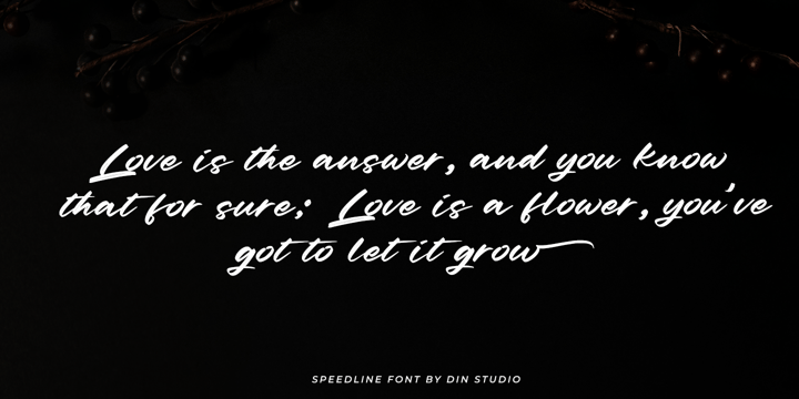 Speedline Font | Webfont & Desktop | MyFonts