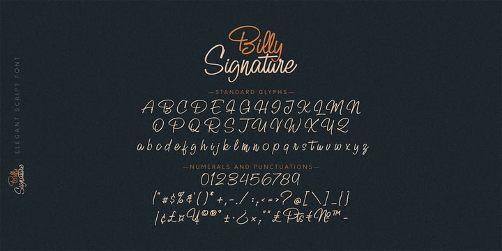 Billy Signature Font | Webfont & Desktop | MyFonts