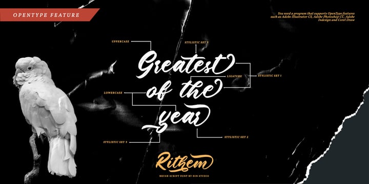 Rithem Font | Webfont & Desktop | MyFonts