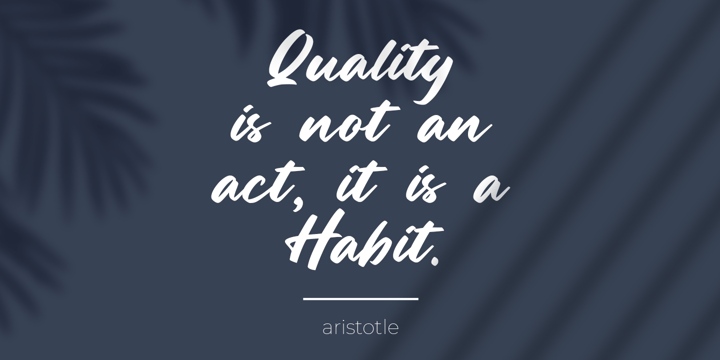 Panama Font | Webfont & Desktop | MyFonts