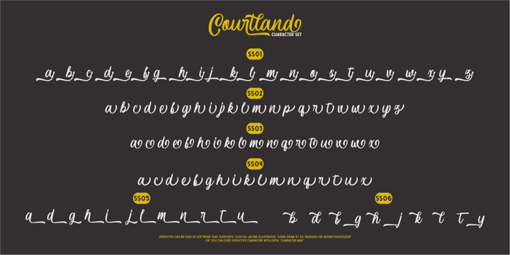 Courtland Font | Webfont & Desktop | MyFonts