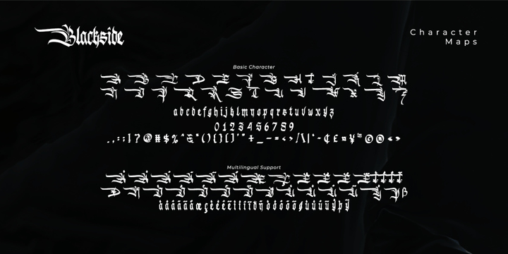 Blackside Font | Webfont & Desktop | MyFonts