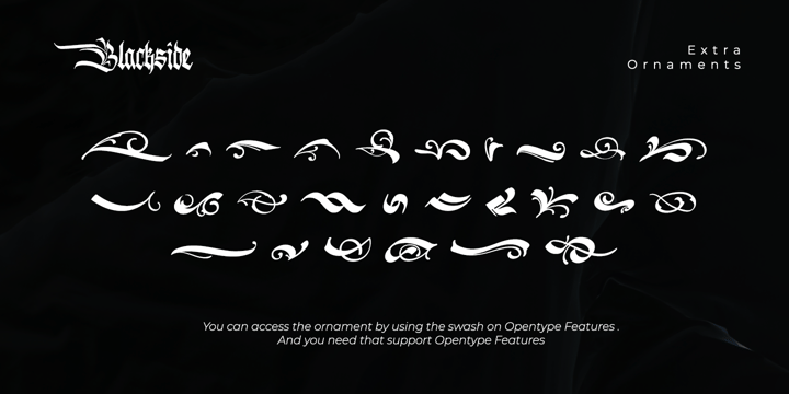 Blackside Font | Webfont & Desktop | MyFonts