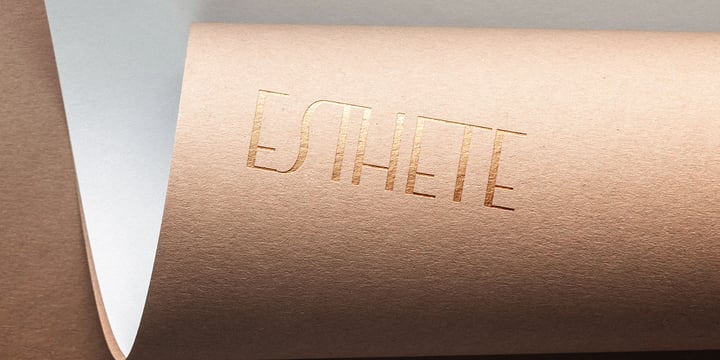 Esthete Font | Webfont & Desktop | MyFonts
