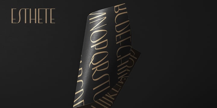 Esthete Font | Webfont & Desktop | MyFonts