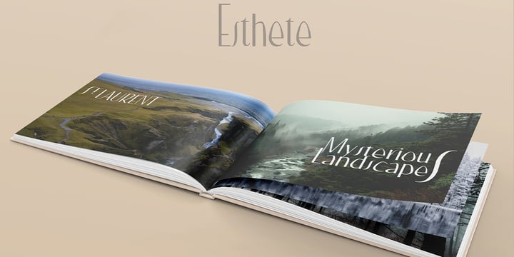 Esthete Font | Webfont & Desktop | MyFonts