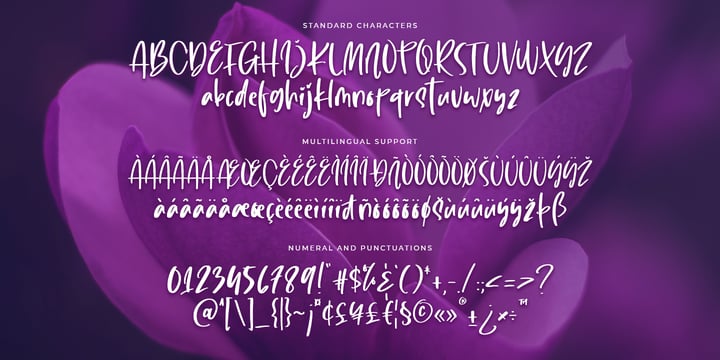 Lovely Purple Font | Webfont & Desktop | MyFonts