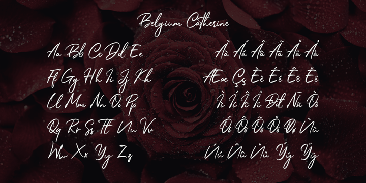 Belgium Catherine Font | Webfont & Desktop | MyFonts