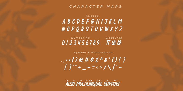 Sarcaland Brusher Font | Webfont & Desktop | MyFonts