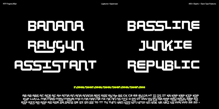 NTF Fragma Font | Webfont & Desktop | MyFonts