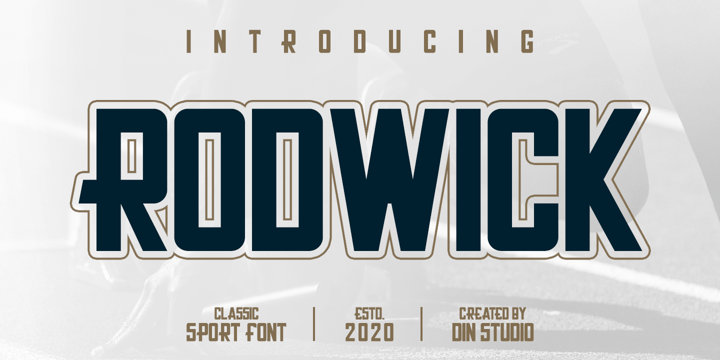 Rodwick Font | Webfont & Desktop | MyFonts