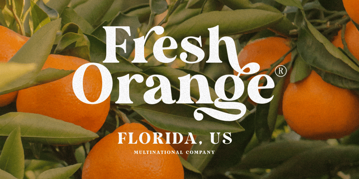 Duke Charming Font | Webfont & Desktop | MyFonts