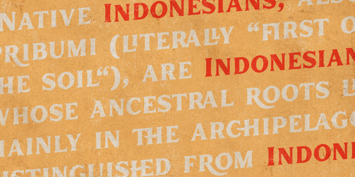 Inlander Font | Webfont & Desktop | MyFonts