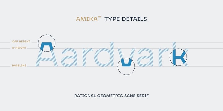 Amika Font | Webfont & Desktop | MyFonts