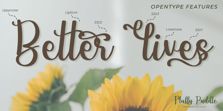 Fluffy Puddle Font | Webfont & Desktop | MyFonts