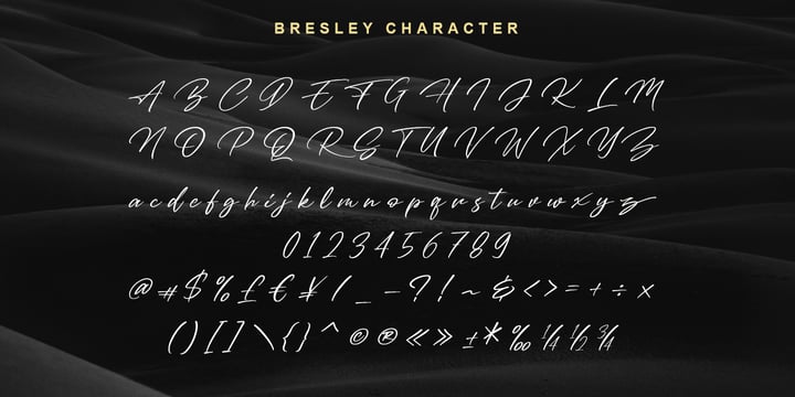 Bresley Font | Webfont & Desktop | MyFonts