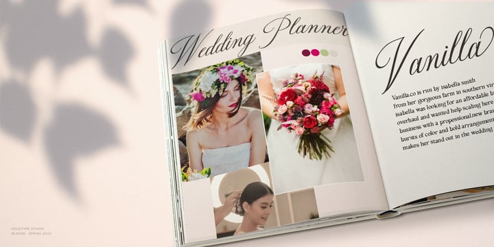 Darshye Script Font | Webfont & Desktop | MyFonts